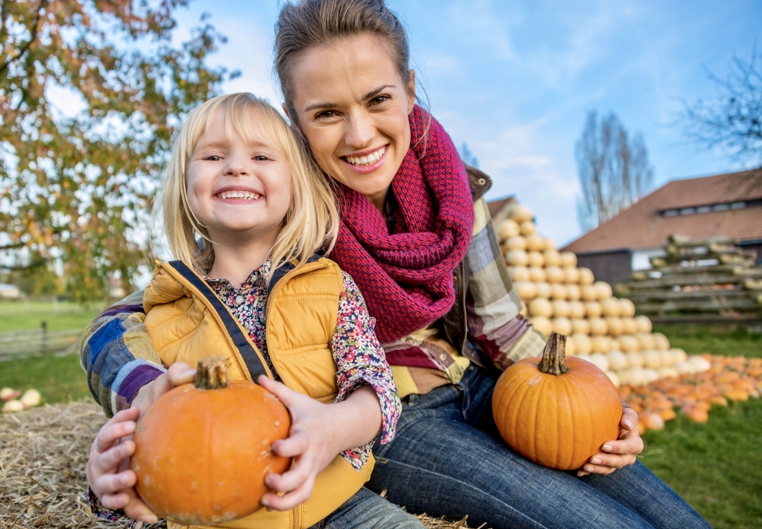 Fall Seasonal Activities For Parents And Toddlers ...